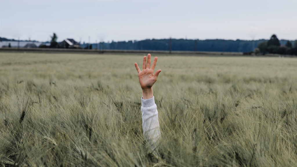 The One Character Your Novel Is Missing: How To Make Your Characters ...