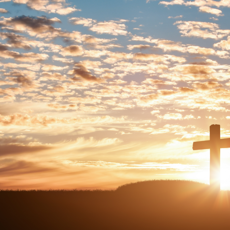 The Young Writer’s Ultimate Guide to Writing Theme | The Young Writer